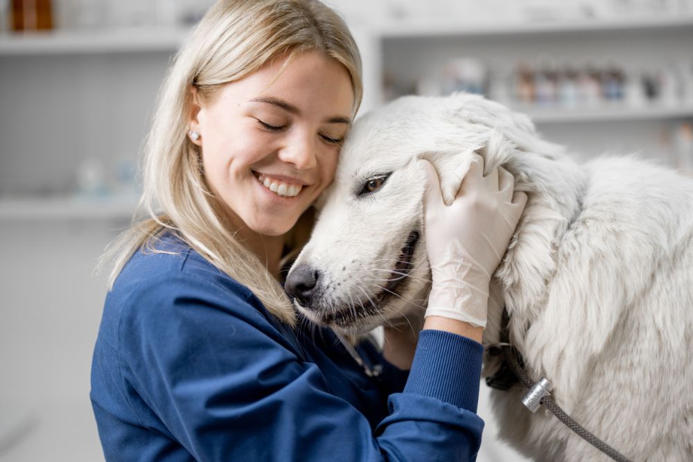 Delegating for Practice Growth | Petpack